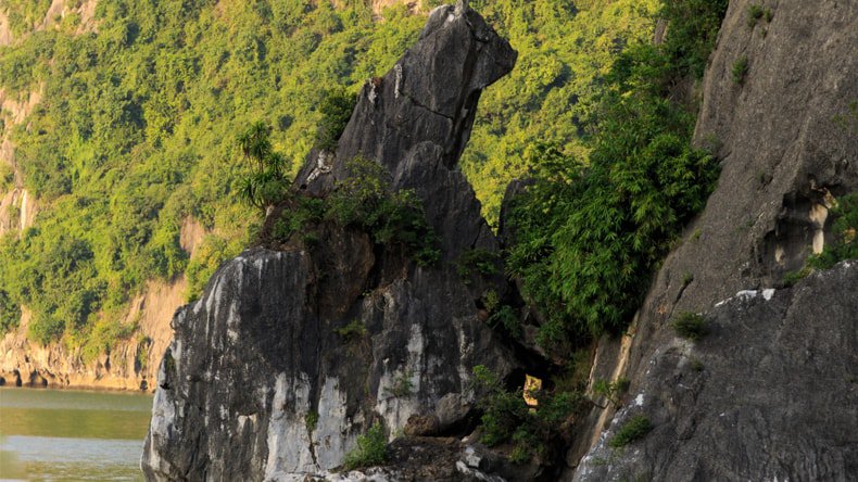 Cho Da Islet: A Guide To The "Stone Dog" Islet